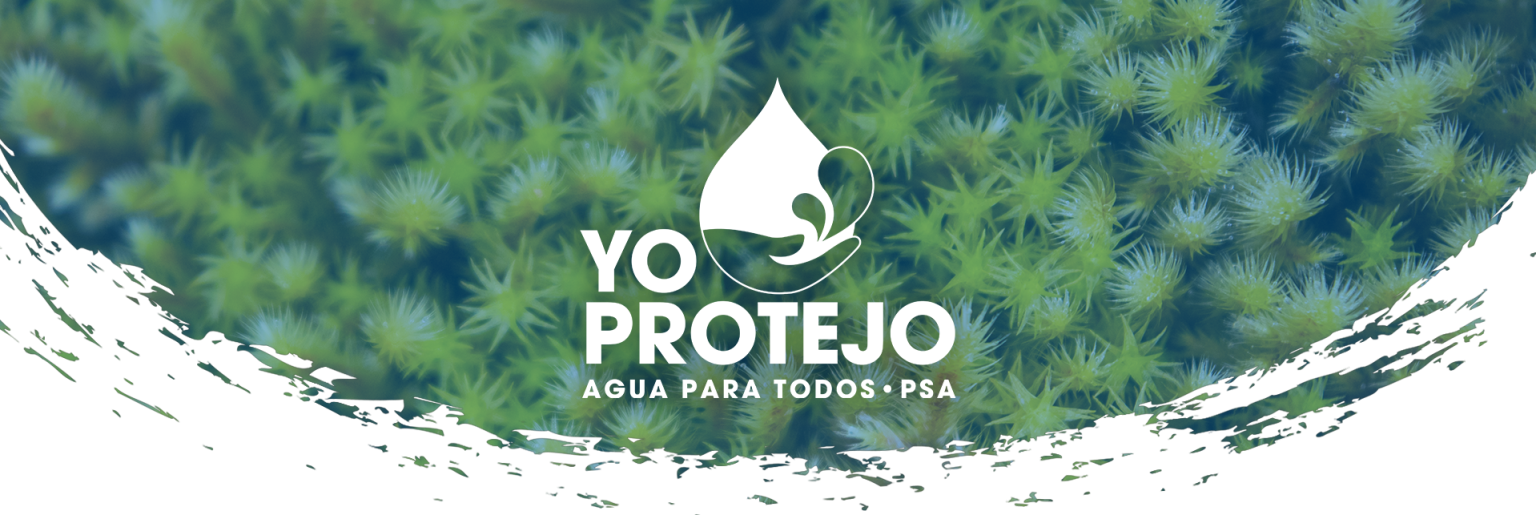 Yo Protejo ¡Agua para Todos! - Patrimonio Natural