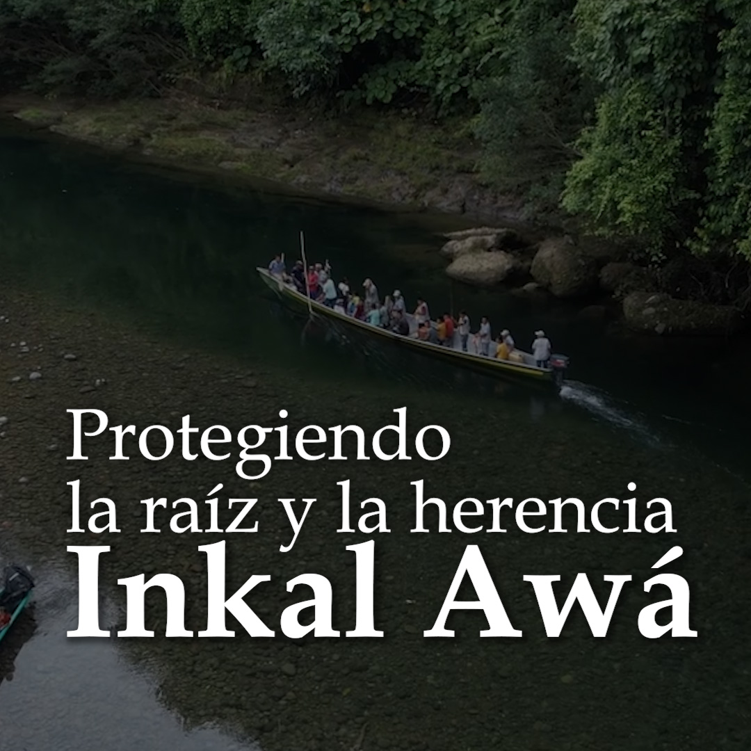 Protegiendo la raíz y la herencia Inkal Awá – Patrimonio Natural