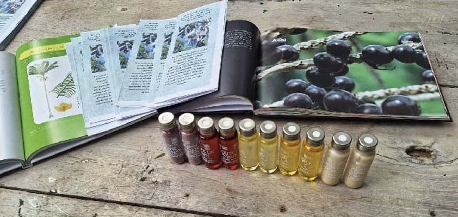 Productos forestales no maderables para su uso sostenible con enfoque ...