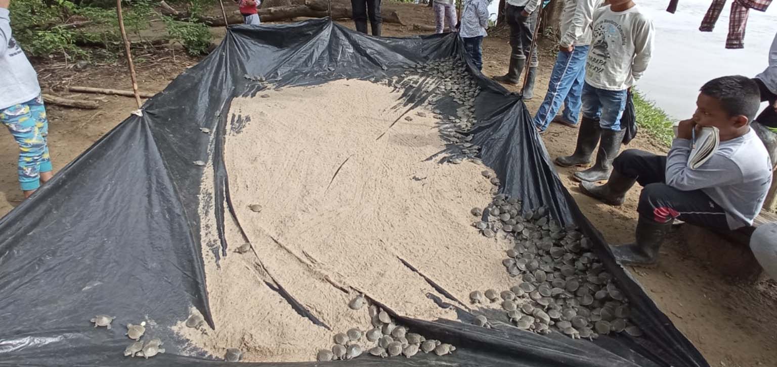 El Resguardo Indígena Nonuya de Villazul publica una cartilla sobre sus ...